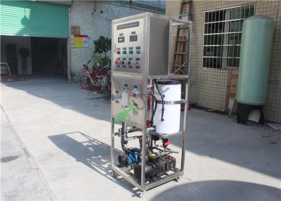 Cina sistema di osmosi inversa dell'acqua di mare 500LPH/sistema Ro dell'acqua per irrigazione in vendita
