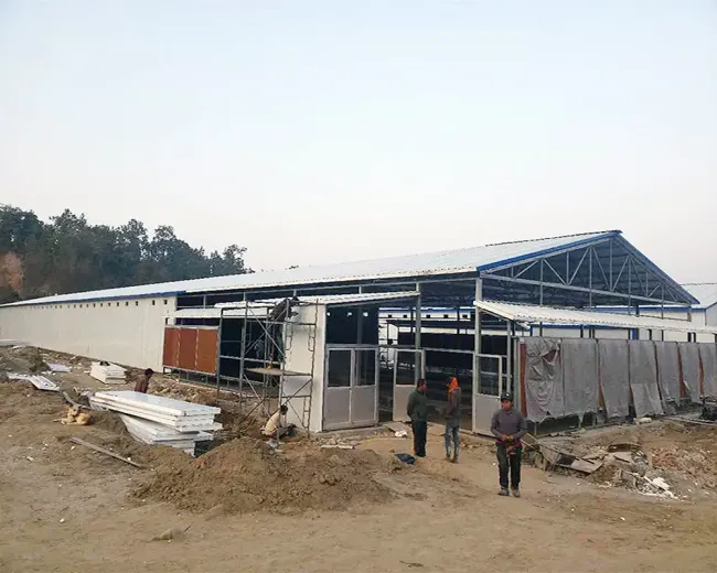 Automatic Steel Structure Peb Customized Poultry Chicken Farming Shed
