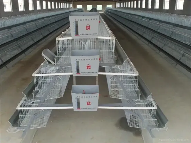 Hot Deep Galvanized Manufacture Metal Steel Broiler Layer Poultry House with Automatic Brooding Equipment