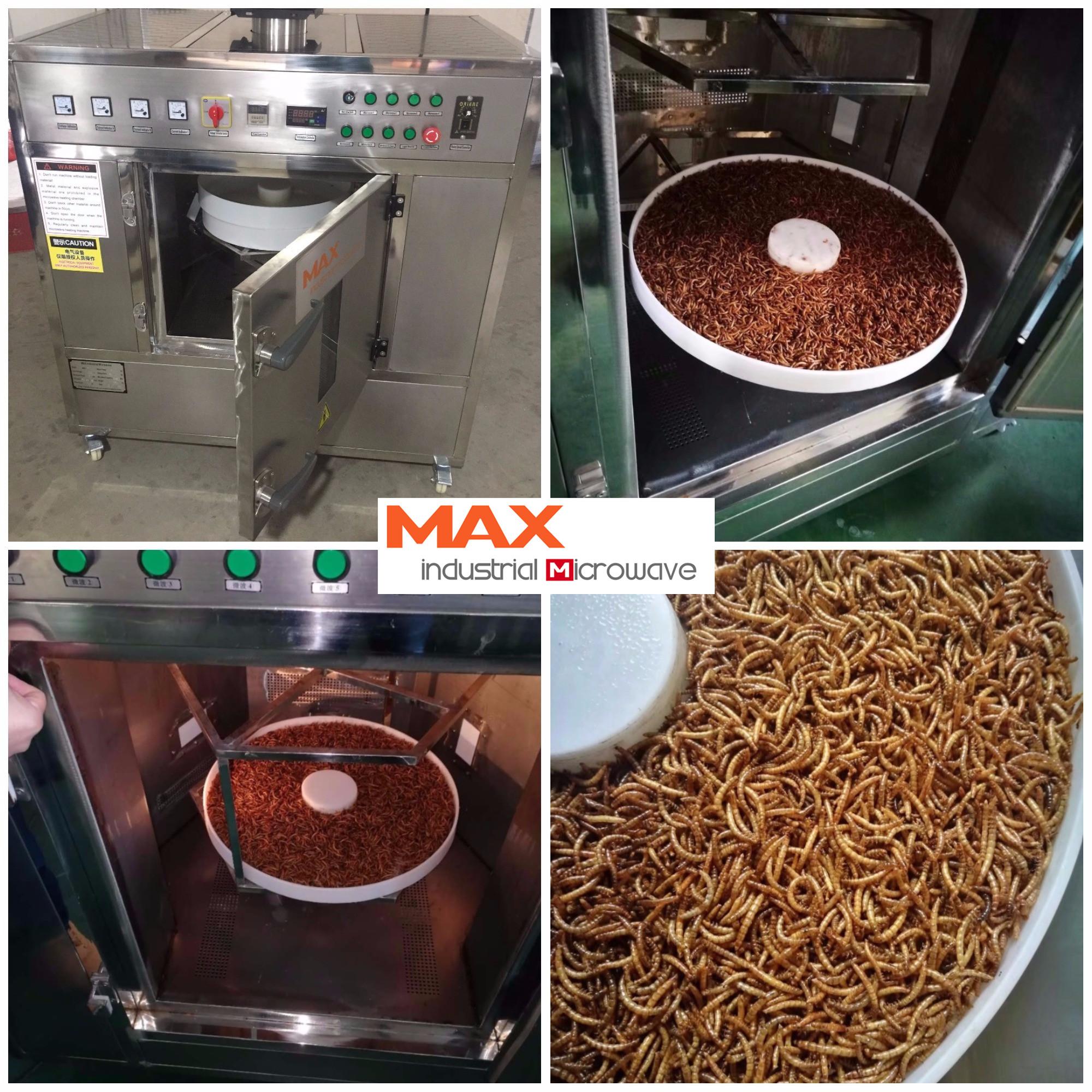 mealworm drying mealworm drying