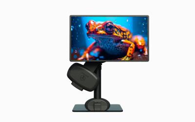 Cina Monitore di scrivania per computer sano per il dolore al collo in vendita