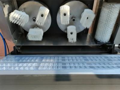 Cina Macchina imballatrice della bolla automatica della lamina piana per la capsula 160mm delle compresse in vendita
