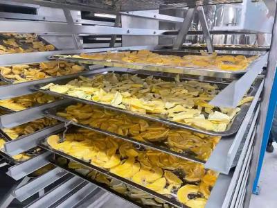 Κίνα Ηλεκτρικά θερμαινόμενα φαρμακευτικά στεγνωτήρια για τη φαρμακευτική και χημική βιομηχανία προς πώληση