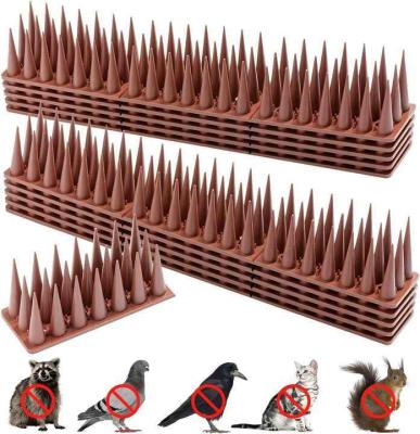 Transitoire en plastique d'oiseau de pigeon d'installation d'ODM jambes pratiques faciles de sécurité de longues anti