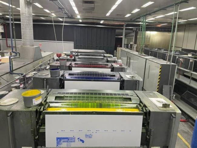Heidelberg CD102-5 printing machine delivery system