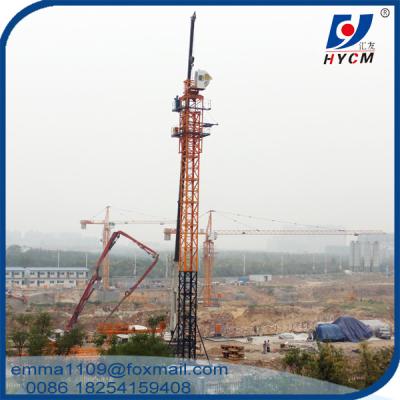 China 4810 Grue A Tour dwg Festturmkranich zum Verkauf in Algier 4000kg Kapazität zu verkaufen