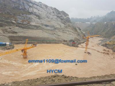 中国 8トンの負荷 キャットヘッドタワークレーン TC6513 新型 65mts ワーキングブーム 販売のため