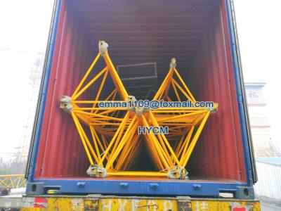 China 5tons TC5010 Hamerkop Typen torenkranen in Cambodja Formulier E Te koop