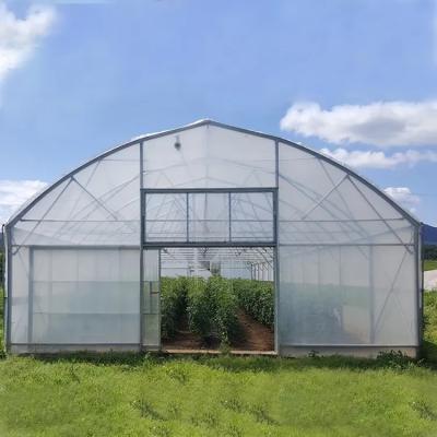 Cina Filtro tropicale di plastica Poli-Tunnel Serre agricole a singolo tratto per pomodori in vendita