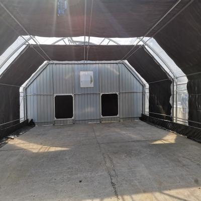 Cina Coltivazione di funghi Inquinamento automatico Serra privazione di luce in vendita