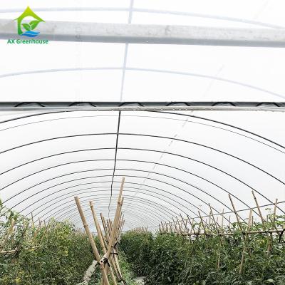 Cina Film plastico trasparente della serra di 200 Mirco Greenhouse Cover Materials Multispan in vendita
