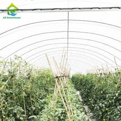 Cina Film plastico trasparente della serra di 200 Mirco Greenhouse Cover Materials Multispan in vendita