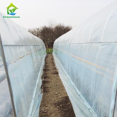 Cina 150 micro film plastico del PE di trasmissione dei materiali 88% della copertura della serra della fragola in vendita