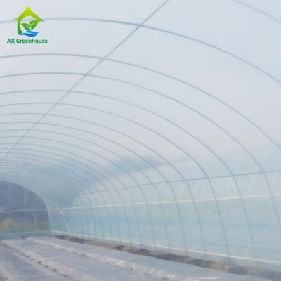 Cina 150 micro film plastico del PE di trasmissione dei materiali 88% della copertura della serra della fragola in vendita