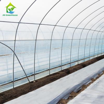 Cina 150 micro film plastico del PE di trasmissione dei materiali 88% della copertura della serra della fragola in vendita