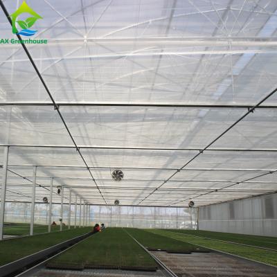China Multispan 4 Season Plastic Film Insect Net Greenhouse For Cucumbers for sale