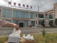 Cina Lle strofinate asciutte viscose per tutti gli usi di 120 pezzi 50g 100% milione usi ripetuti in vendita