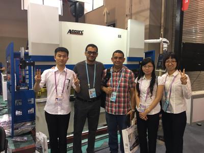 Cina Macchina piegatubi del freno della pressa idraulica di CNC 110 tonnellate in vendita