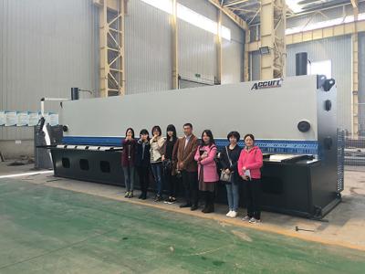 Cina Tagliatrice idraulica della lamina di metallo della multi del bordo cesoia a ghigliottina delle lame 16300Kgs in vendita