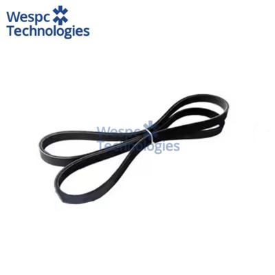 China WESPC Original 3652973 Multi-vee Belt Perkins Diesel Engine Generator Tractor for sale