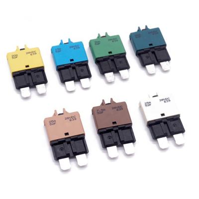 China E39 5A 10A 15A 20A 25A 30A Amp Reinicie el fusible térmico Compatible con el enchufe automático en el interruptor de circuito en venta