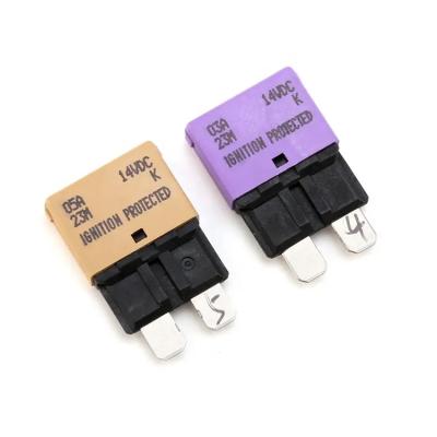 China E39 5A 10A 15A 20A 25A 30A Amp Reinicie el fusible térmico Compatible con el enchufe automático en el interruptor de circuito en venta