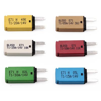 China E71 ATM Zekering Automobiel Circuitonderbrekers Auto Reset 12V 5A 10A 15A 20A 25A 30A Ampère Te koop