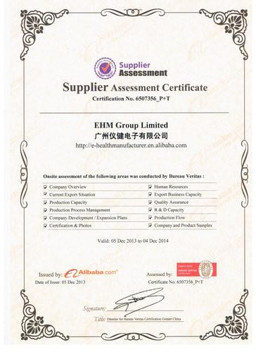 BV - EHM Group Ltd