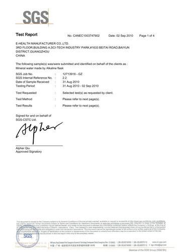SGS - EHM Group Ltd