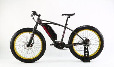 중국 48V 10Ah 뚱뚱한 타이어 산 전기 자전거 350W 전력 산악 자전거 판매용