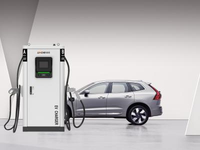 Cina pistola domestica doppia della stazione di carico di 180kW EV doppia fuori in vendita