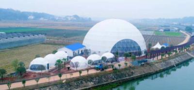 China 20M  PVC Geodesic Dome Strong Structure Steel Party Tent Transparent  Wedding Tent for sale