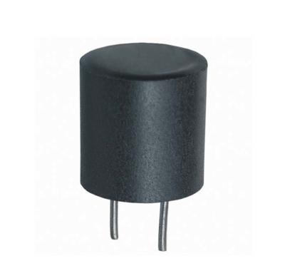 China A través de la ferrita del inductor del poder de la inmersión del agujero bobina protegida en venta