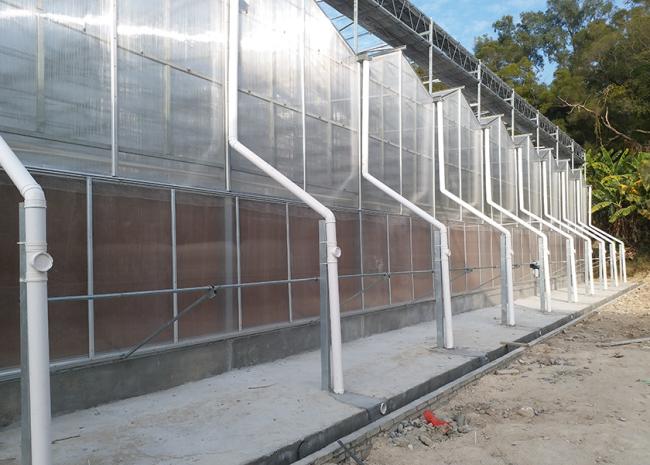 Close-up of polycarbonate panel greenhouse structure showing durable materials