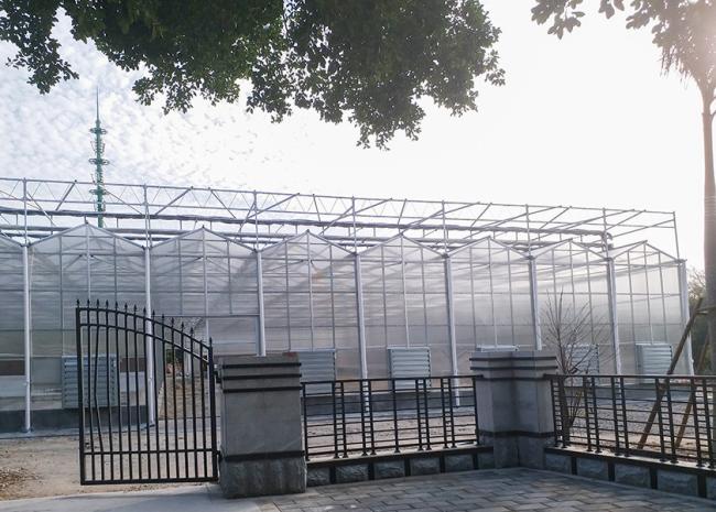 Commercial polycarbonate greenhouse structure showing durable frame and clear panels