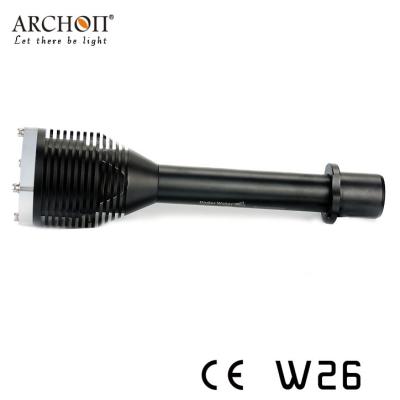 Cina Torcia elettrica 1000 di immersione con bombole di LM 6500k 6v alle lampade di immersione subacquea 14v in vendita