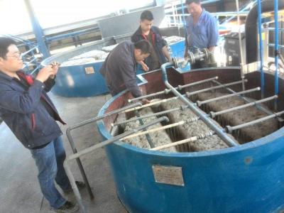 China Ahorro de energía, célula baja de la flotación de la columna del mantenimiento Φ2.5m en la flotación del fósforo en venta