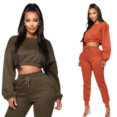 Cina Grinza di grande misura di Terry Fleece Plain Crew Neck del cotone del raccolto francese della maglietta felpata anti in vendita