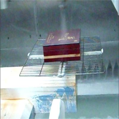 Cina Azionamento automatico del servomotore dell'attrezzatura 400W di verniciatura a spruzzo di multi funzione in vendita