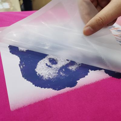 Cina L'ANIMALE DOMESTICO flessibile di Film Heat Transfer della stampante di 60cm 30cm DTF riveste la carta in vendita