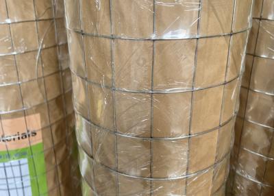 Free Sample Galvanized Welded Wire Mesh Roll For Protection And Decoration