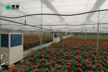 Cina Compressore ad alta temperatura economizzatore d'energia di Copeland delle pompe di calore di fonte di aria in vendita