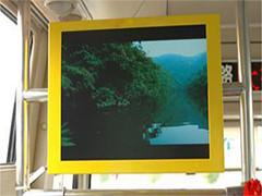 Cina Monitor a 15 pollici commerciale del contrassegno di Digital del bus con il dot pitch di 0.264mm in vendita
