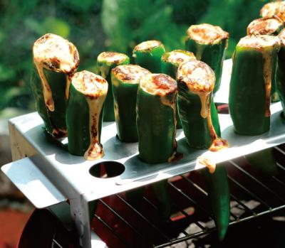 Chine Le BBQ d'acier inoxydable usine le support argenté de rôtissoire de gril de couleur facilement nettoyé à vendre
