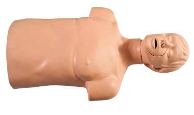 Cina Manichini del pronto soccorso del corpo del PVC di protezione dell'ambiente mezzi per la pratica di operazione di CPR in vendita
