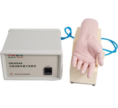 Cina Manichino di professione d'infermiera della mano di puntura dell'arteria del PVC per l'apprendimento medico in vendita