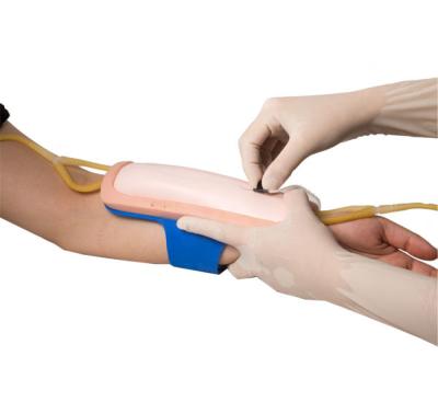 Cina Manichino di professione d'infermiera del cuscinetto di puntura della vena del PVC di istruzione medica in vendita