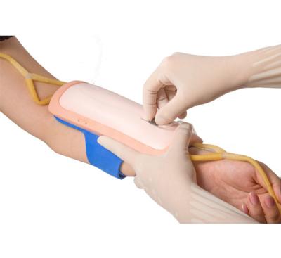 Cina Modello For Hospital Training di professione d'infermiera del cuscinetto dell'iniezione della vena della pittura in vendita