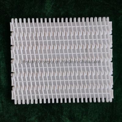 Cina Cinture trasportatrici di plastica facili da pulire con pitch di 27,2 mm in vendita