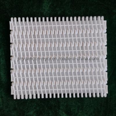 Cina Cinture trasportatrici di plastica facile da pulire della serie 900 con passo di 27,2 mm in vendita